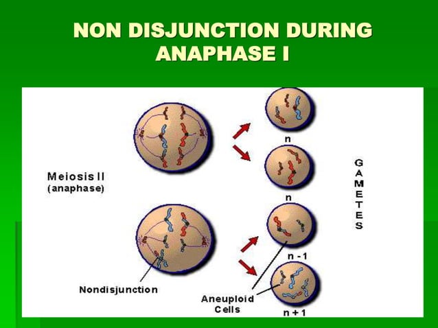 CHAPTER 5 INHERITANCE.ppt