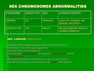 CHAPTER 5 INHERITANCE.ppt | Blood Disorders | Diseases and Conditions