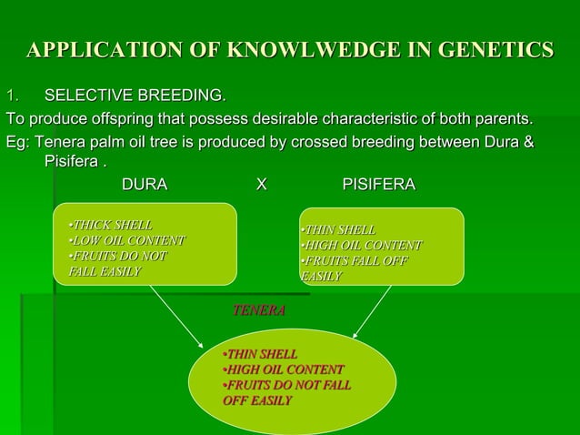 CHAPTER 5 INHERITANCE.ppt