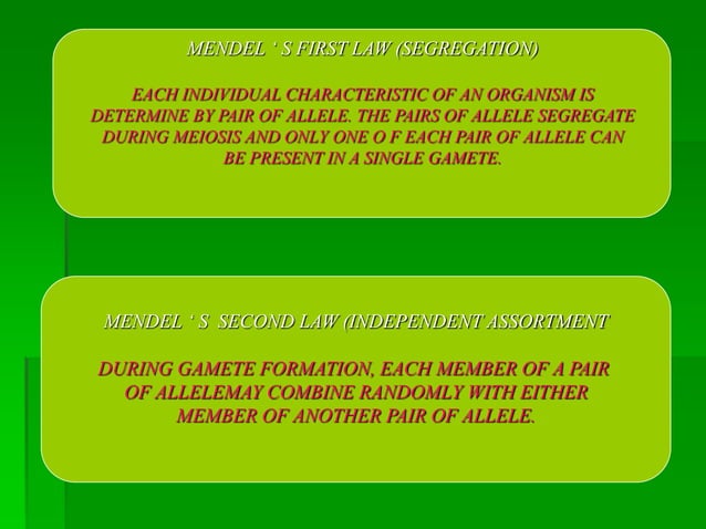 Chapter 5 Inheritance Ppt