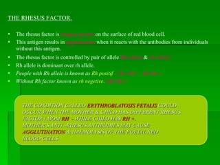 CHAPTER 5 INHERITANCE.ppt | Blood Disorders | Diseases and Conditions