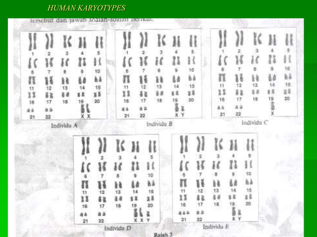 CHAPTER 5 INHERITANCE.ppt
