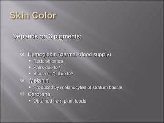 Chapter5 integumentarymarieb | PPT