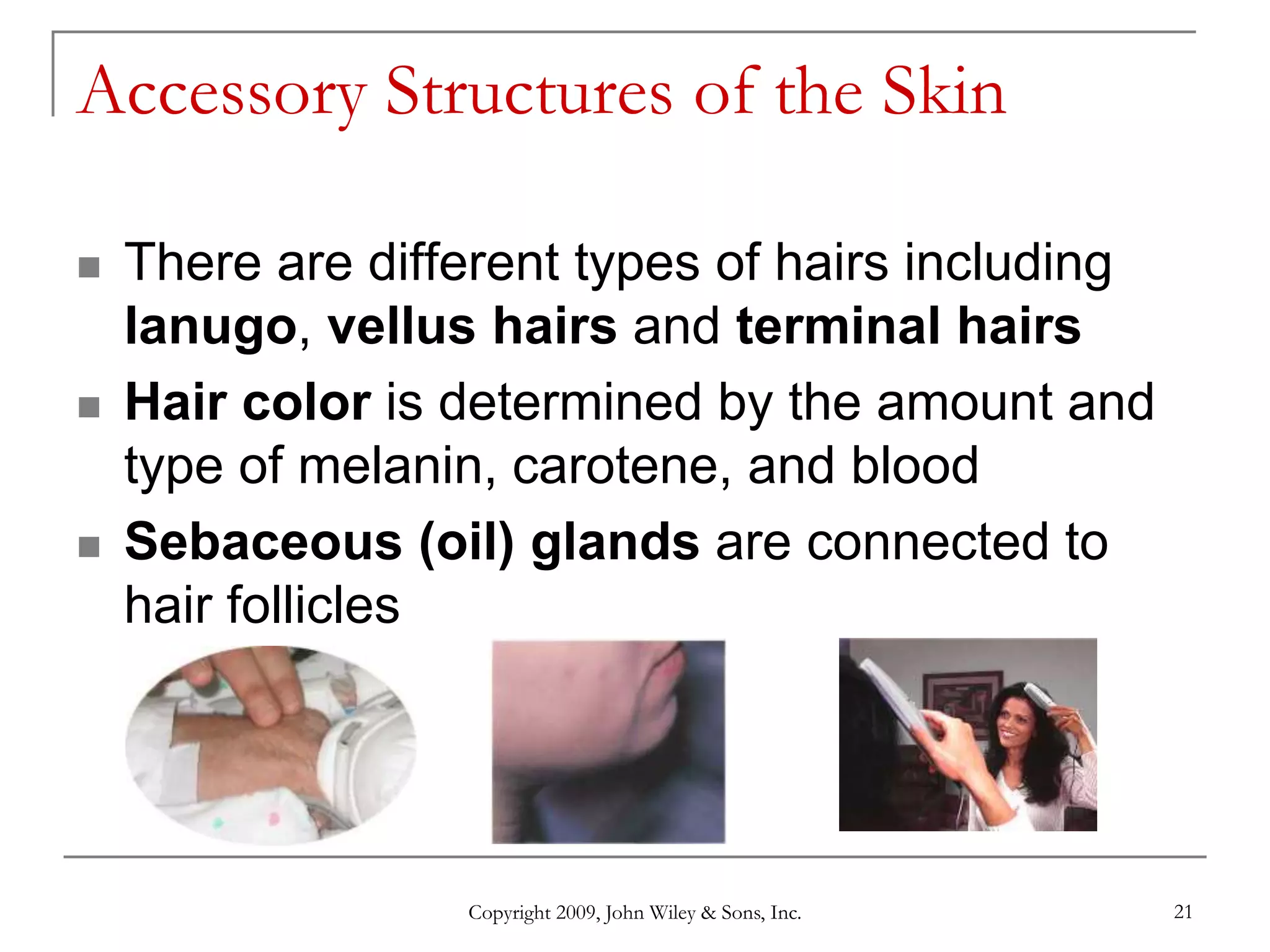 Chapter_5_Integumentary_System_Power_Point.ppt