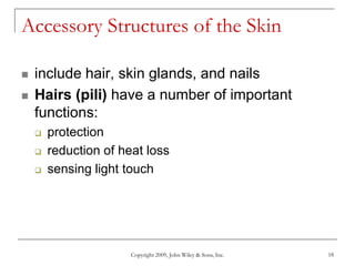 Chapter_5_Integumentary_System_Power_Point.ppt