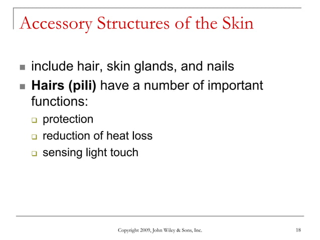 Chapter_5_Integumentary_System_Power_Point.ppt