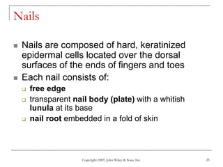 Chapter_5_Integumentary_System_Power_Point.ppt