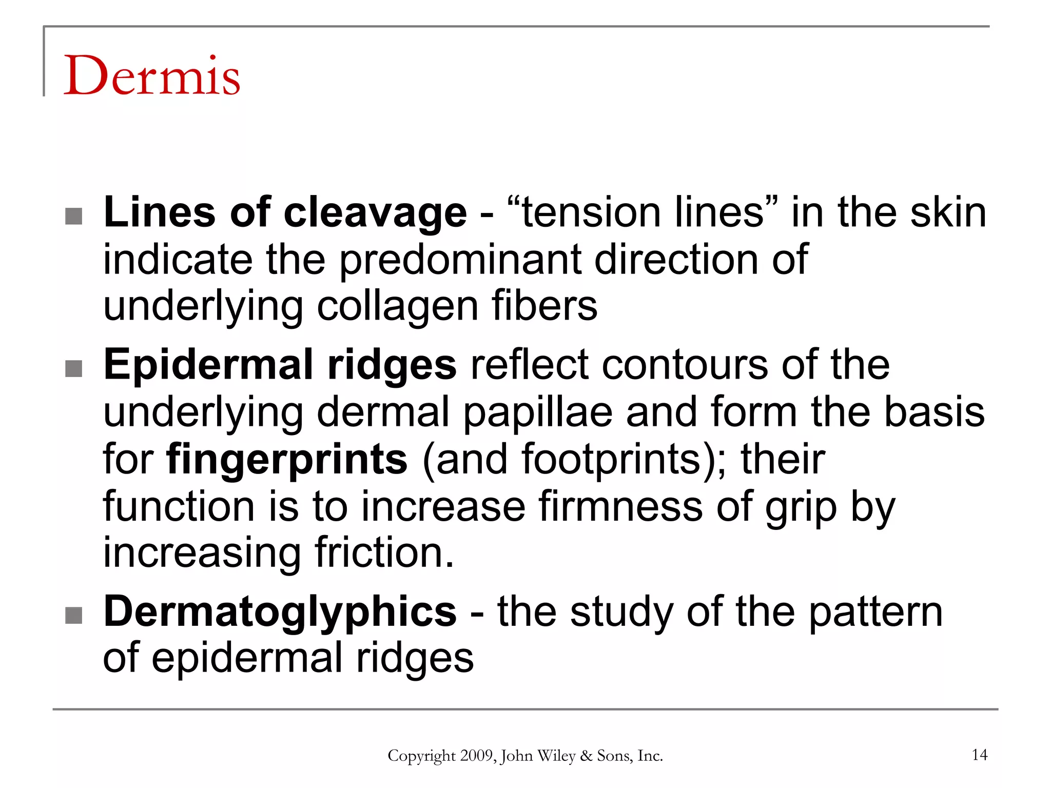 Chapter_5_Integumentary_System_Power_Point.ppt