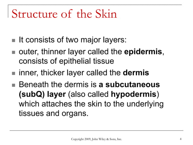 Chapter_5_Integumentary_System_Power_Point.ppt