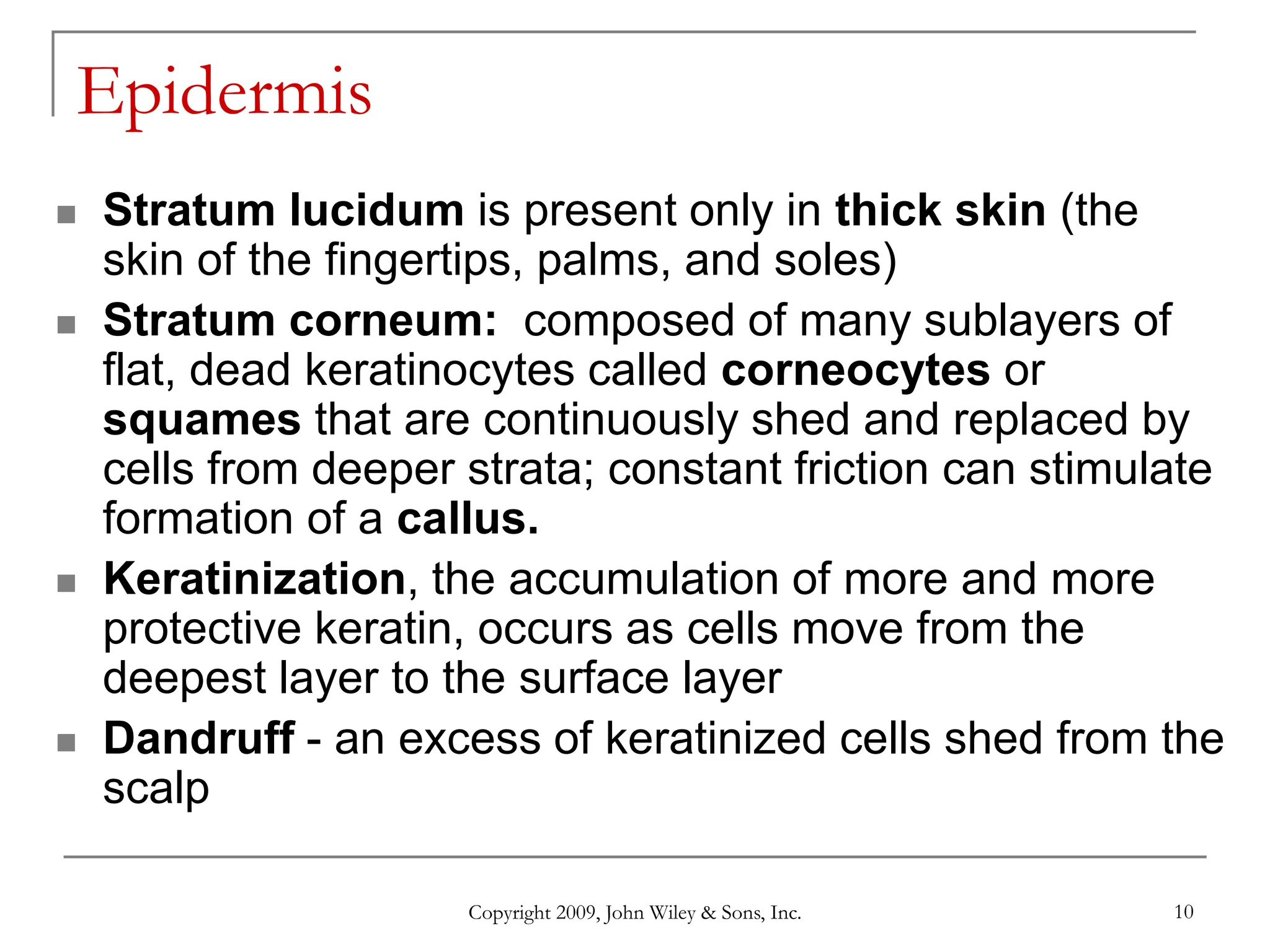 Chapter_5_Integumentary_System_Power_Point.pptx