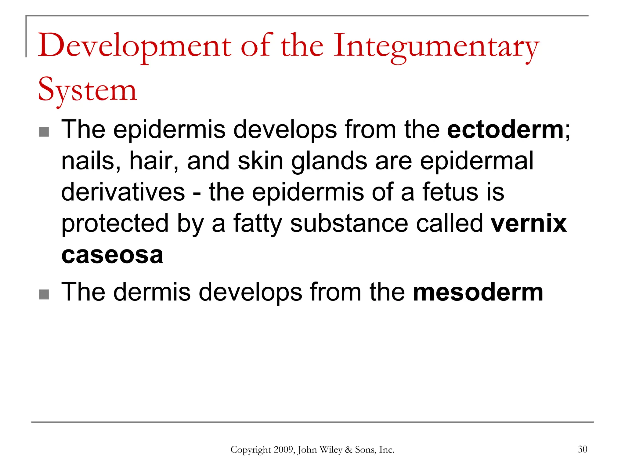 Chapter_5_Integumentary_System_Power_Point.pptx