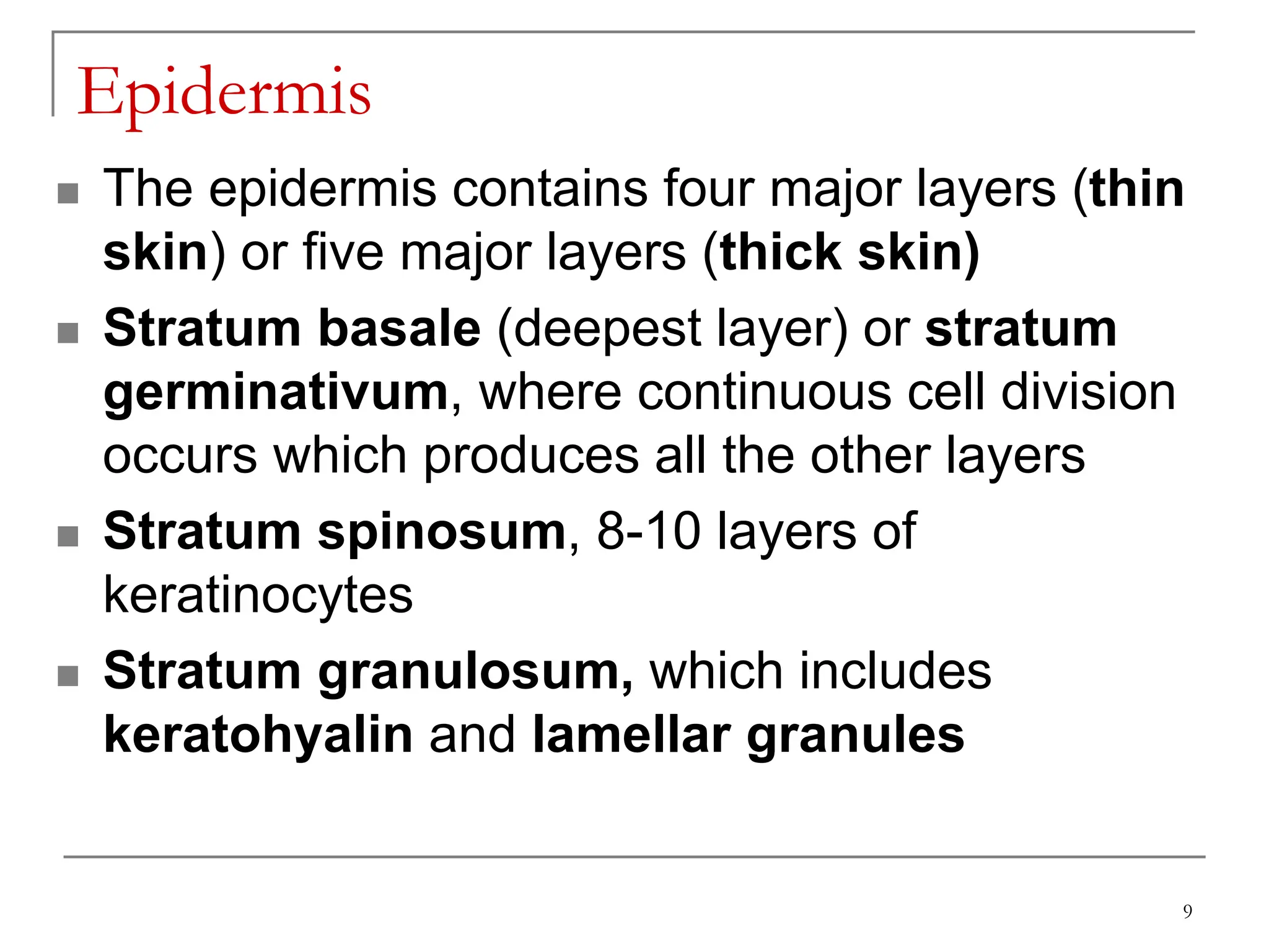 Chapter_5_Integumentary_System_Power_Point.pptx