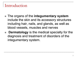 Chapter_5_Integumentary_System_Power_Point.pptx