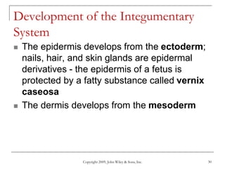 Chapter_5_Integumentary_System_Power_Point.pptx