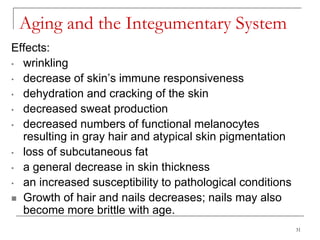 Chapter_5_Integumentary_System_Power_Point.pptx
