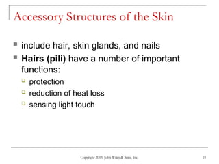 Chapter_5_Integumentary_System_Power_Point.ppt