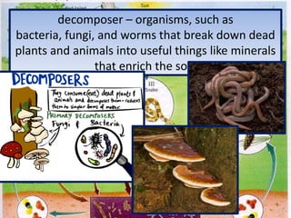 Chapter 5, lesson 1 | PPT