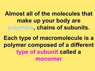 Macromolecules Extension | PPT
