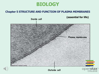 Chapter 5 Membranes_VOICE.pptx