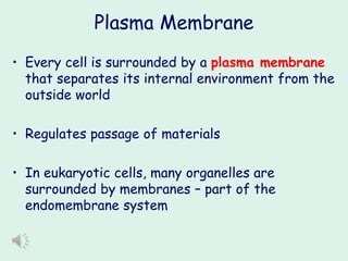 Chapter 5 Membranes_VOICE.pptx