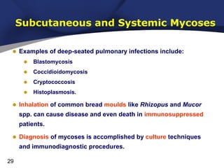 Chapter5 microbiology farid | PPT