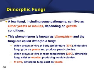 Chapter5 microbiology farid | PPT
