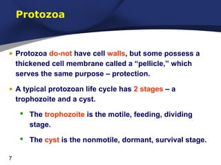 Chapter5 microbiology farid | PPT