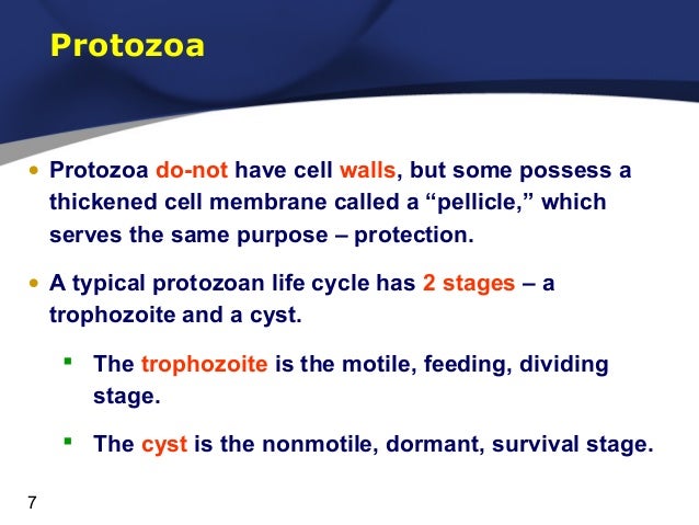 Chapter5 Microbiology Farid