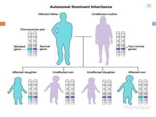 Chapter 5 Modes of Inheritance.pptx