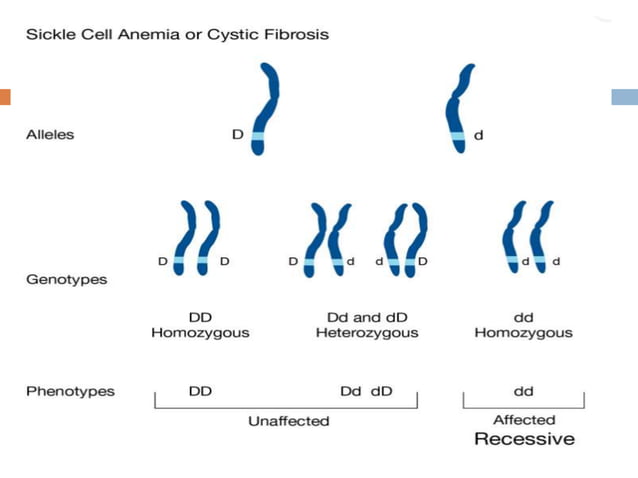 Chapter 5 Modes of Inheritance.pptx