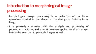 chapter 5 morphologiical processing.pptx