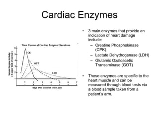 Chapter 5 m terminology procedures rg | PPT