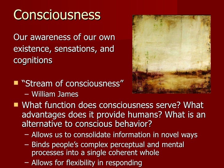 Consciousness Slides
