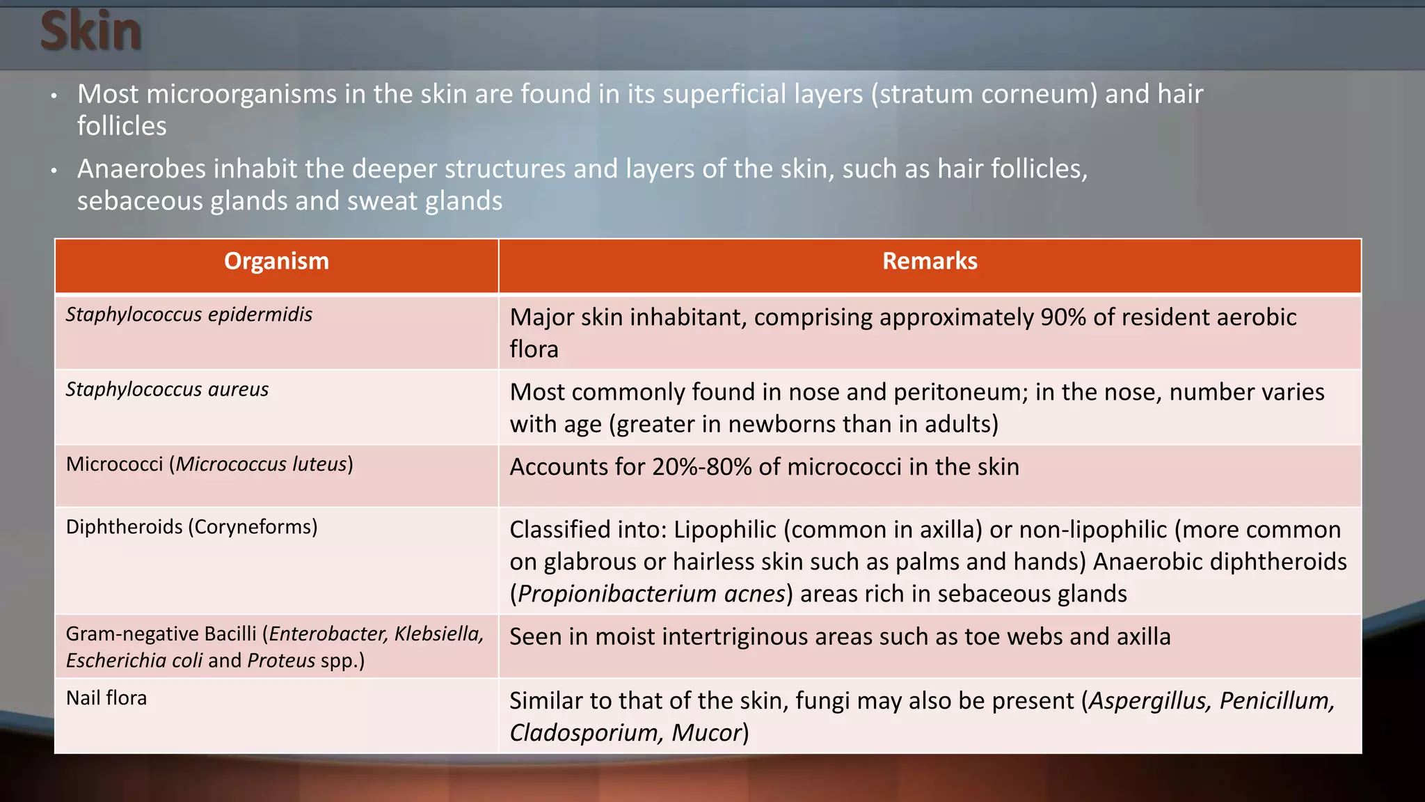 Chapter 5 Normal Flora of the Human Body | PPTX | Skin and Dermatology ...