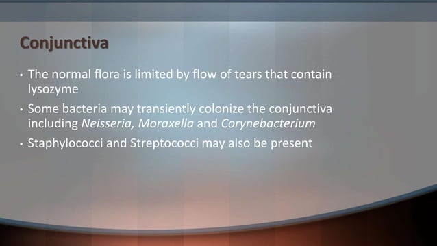 Chapter 5 Normal Flora of the Human Body | PPT