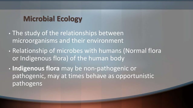 Chapter 5 Normal Flora of the Human Body | PPT