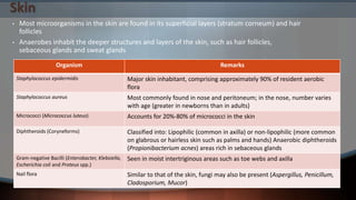 Chapter 5 Normal Flora of the Human Body | PPTX