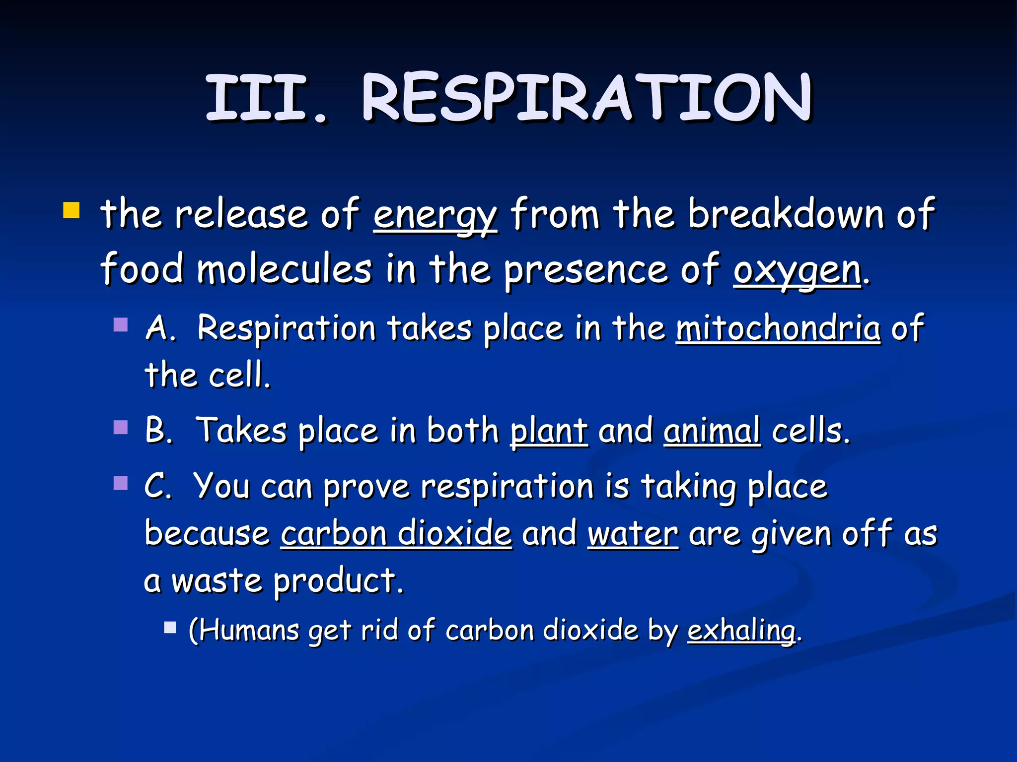 Chapter 5 notes | PPT