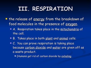 Chapter 5 notes | PPT