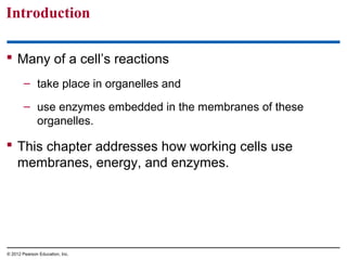 Biology 2 Chapter 5 notes | PPT