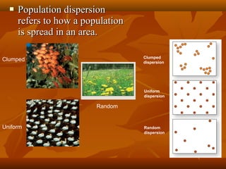 Chapter 5 notes | PPT