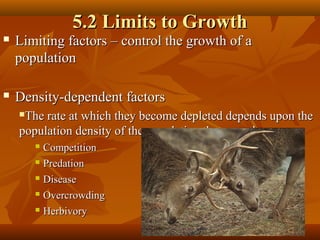 Chapter 5 notes | PPT