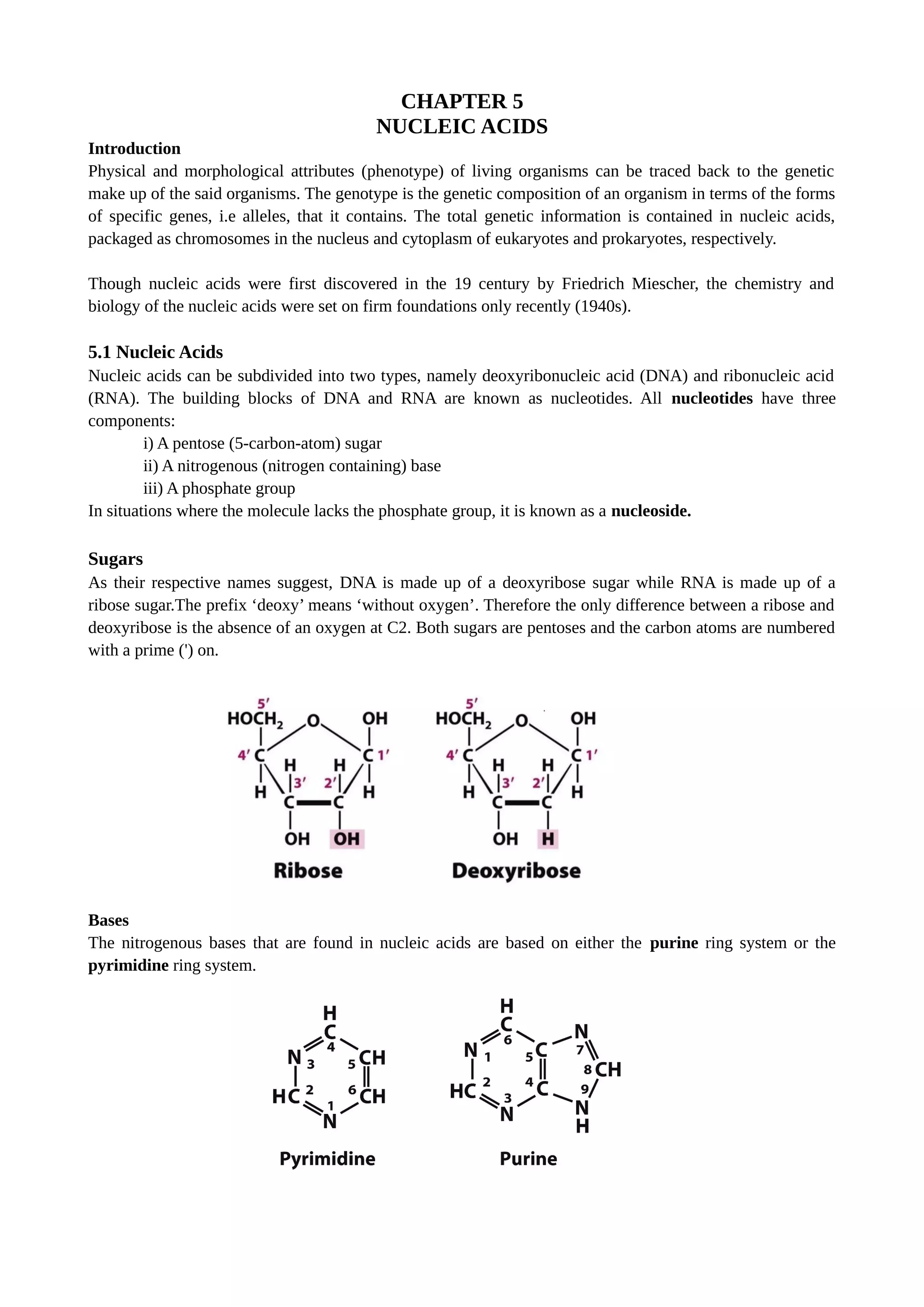CHAPTER 5 NUCLEIC ACIDS_EA.pdf
