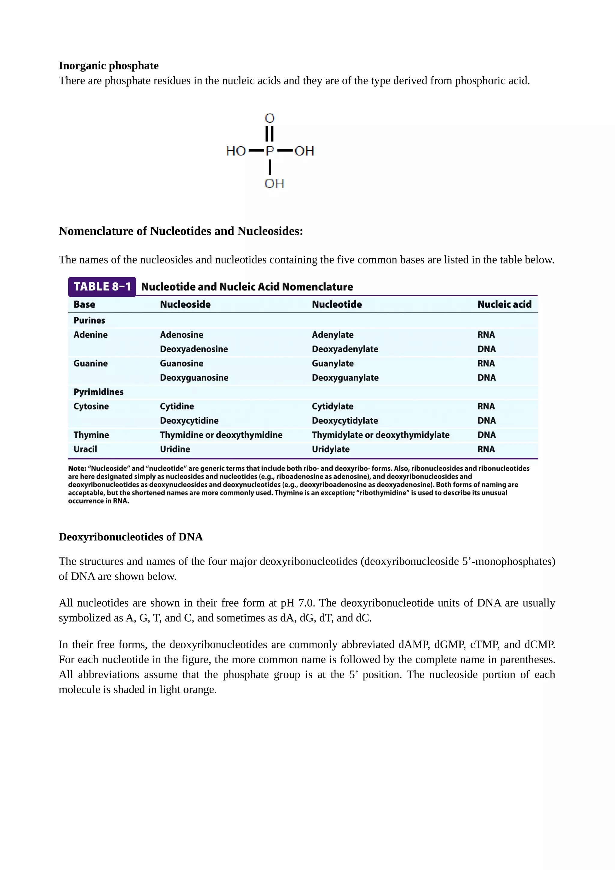 CHAPTER 5 NUCLEIC ACIDS_EA.pdf