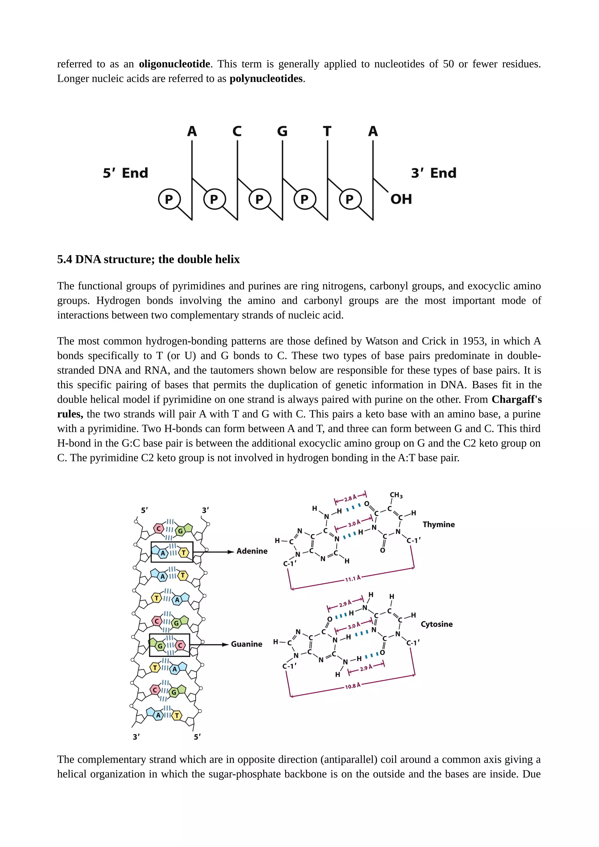 CHAPTER 5 NUCLEIC ACIDS_EA.pdf