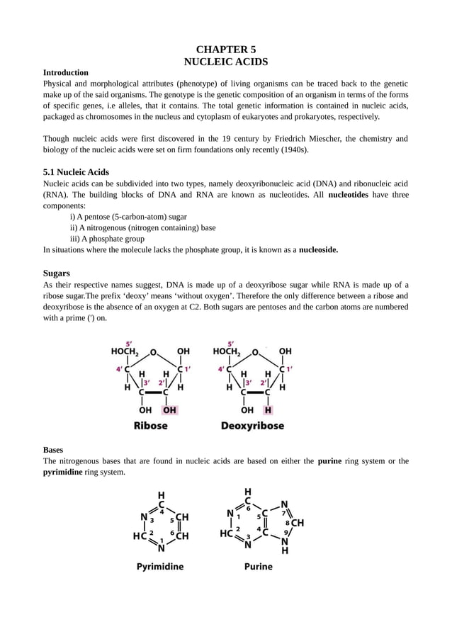 CHAPTER 5 NUCLEIC ACIDS_EA.pdf