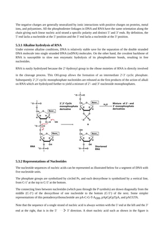 CHAPTER 5 NUCLEIC ACIDS_EA.pdf