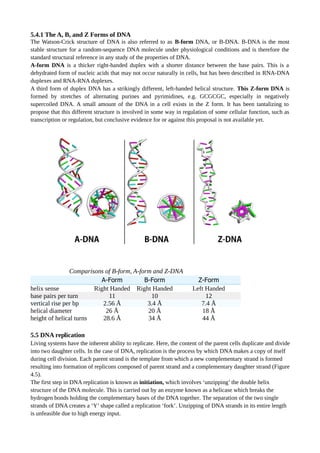 CHAPTER 5 NUCLEIC ACIDS_EA.pdf