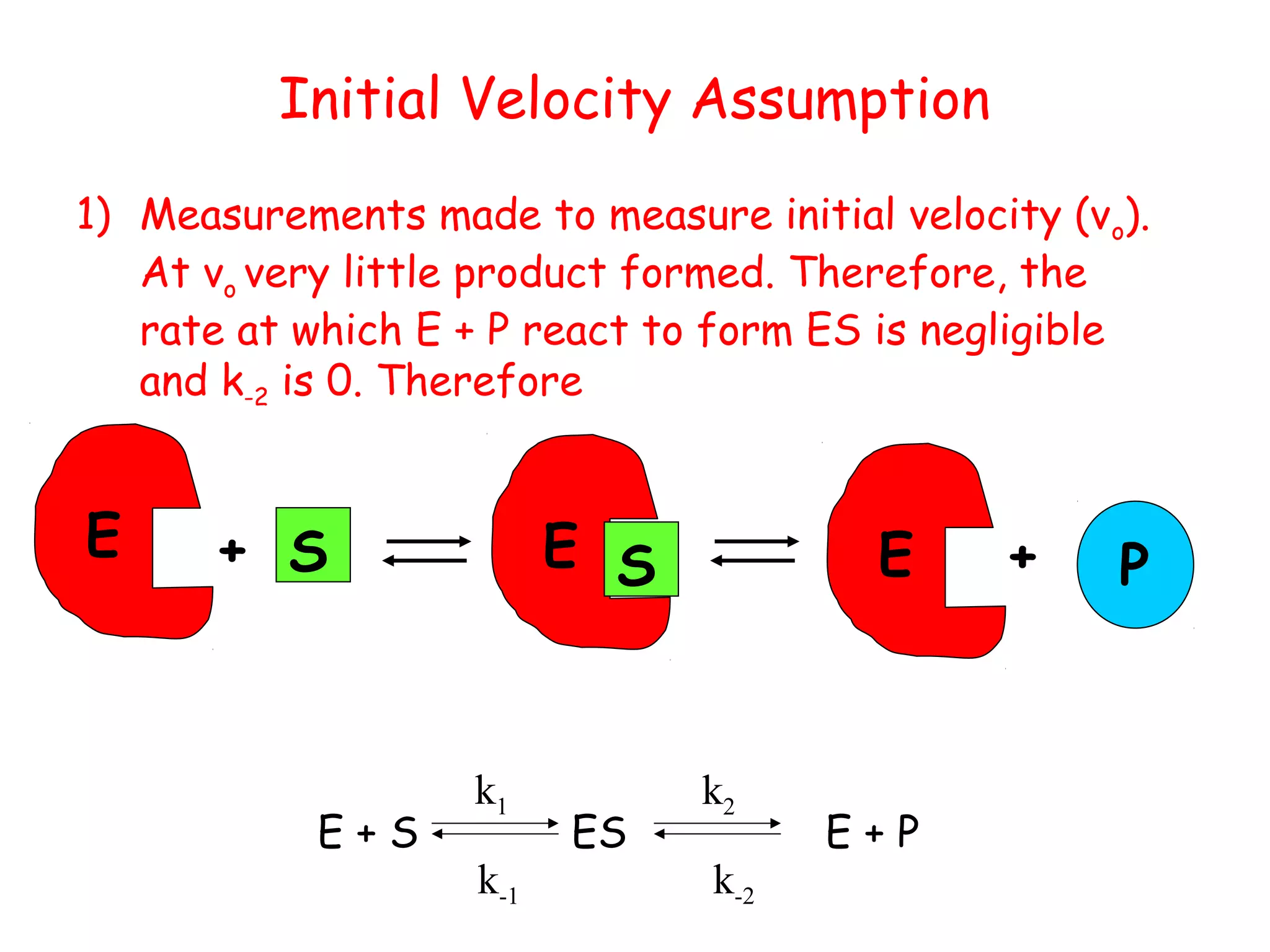 Chapter 5 (part2) enzymes - michaelis-menton kinetics | PPT