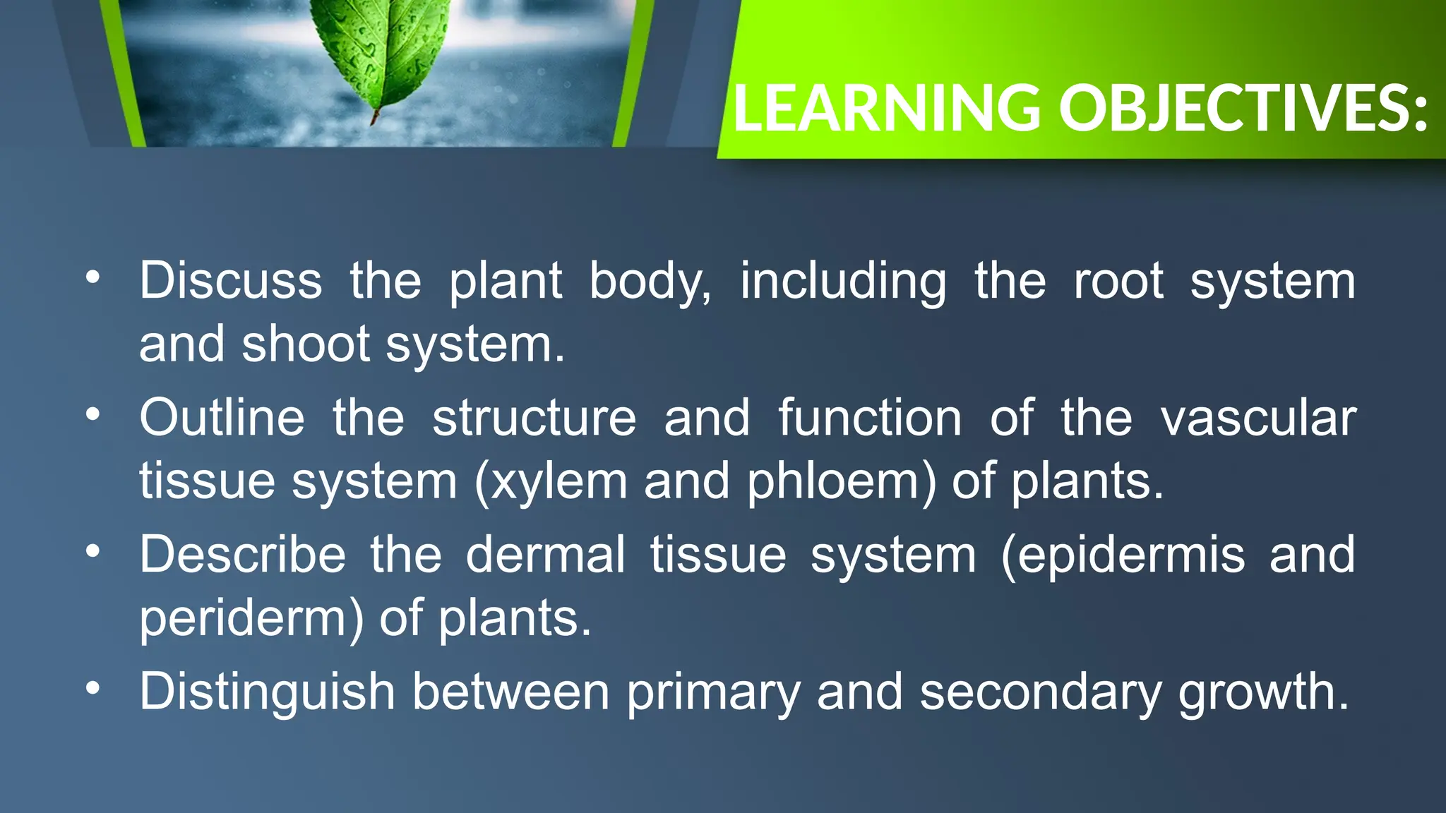 CHAPTER 5 PLANT BODY Botany First Sem.pptx